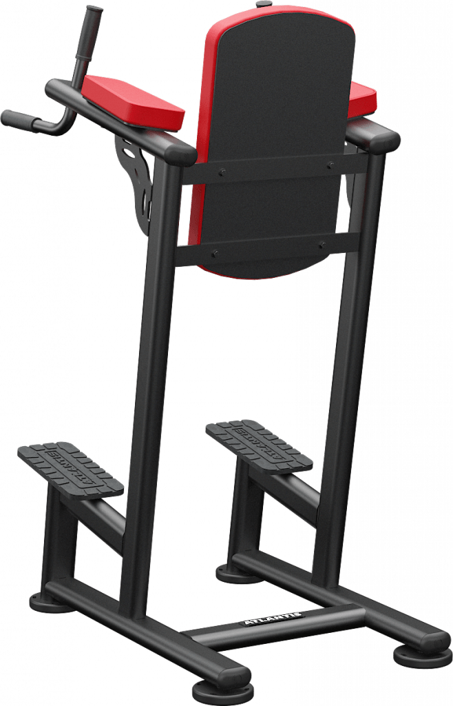 Standing leg raise | Performaxx