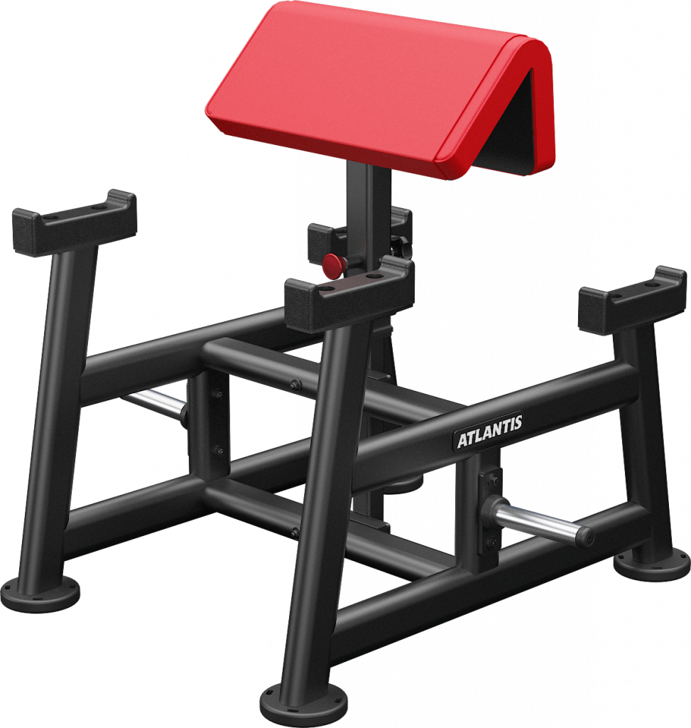 Buy Atlantis - Standing Preacher Curl Online Australia | Performaxx