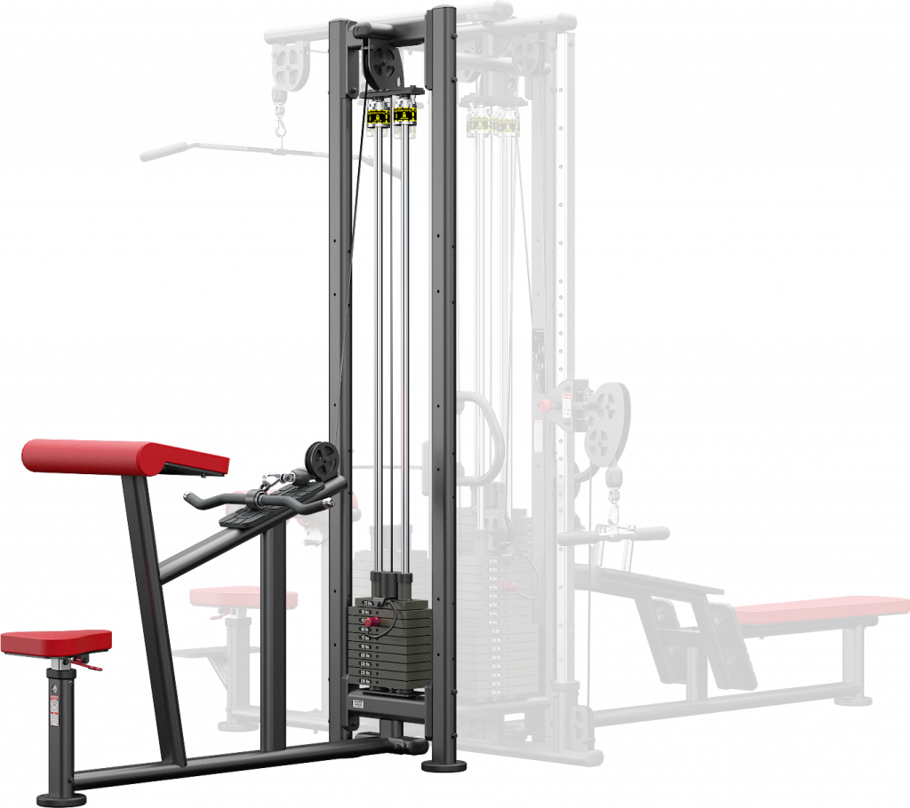 Buy Atlantis - Horizontal Bicep Curl (B158 model) Online Australia ...