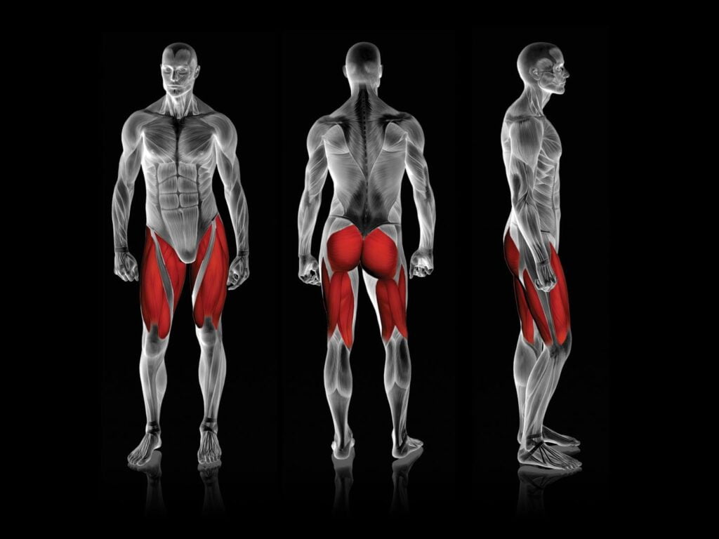 Buy Rogers Athletic - Hip Press | Pendulum Online Australia | Performaxx