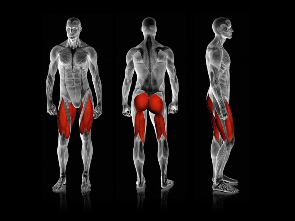 Buy Rogers Athletic - Power Squat Pro | Pendulum Online Australia ...