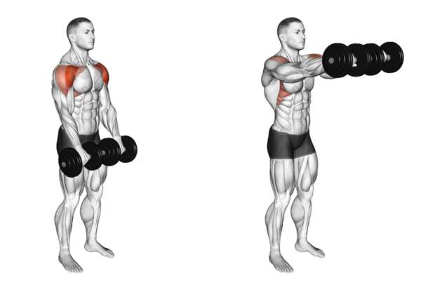 Dumbbell Front Raise Guide | Variations & Mistakes to Avoid